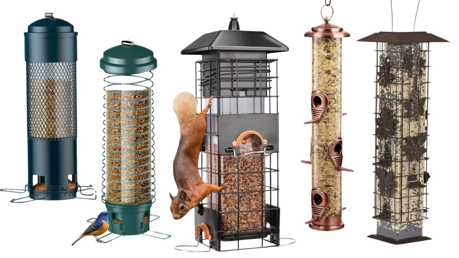 9 Best Squirrel-Proof Bird Feeders That Will Make Squirrels Admit ...